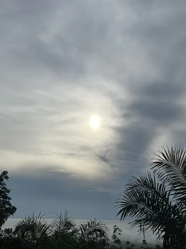 2023 Best Trails, Walks, and Paths in Kemayan | AllTrails