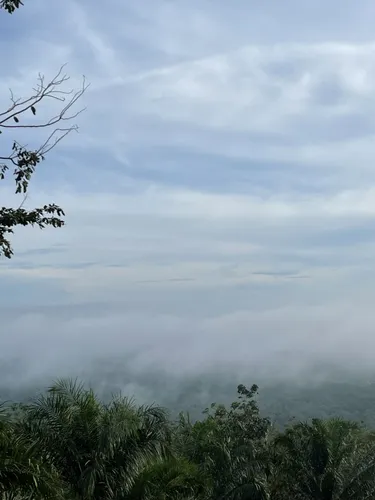 2023 Best Trails, Walks, and Paths in Kemayan | AllTrails