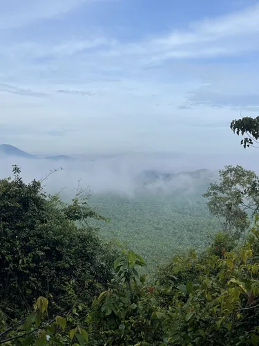 2023 Best Trails, Walks, and Paths in Kemayan | AllTrails