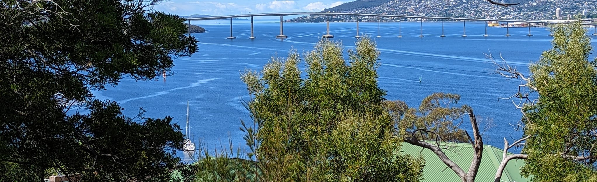 Natone Hill Bush Trail Base Loop: 16 foto's - Tasmanië, Australië ...