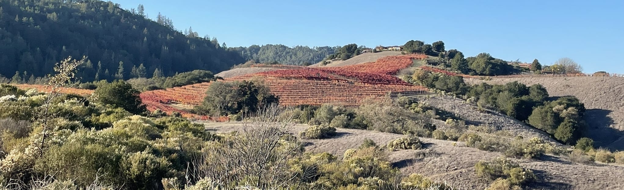 Alston Park Loop Trail, California - 683 Reviews, Map | AllTrails