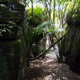 Labyrinth Rocks Park Walk, Nelson-Tasman, New Zealand - 47 Reviews, Map ...