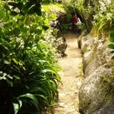 Labyrinth Rocks Park Walk, Nelson-Tasman, New Zealand - 47 Reviews, Map ...