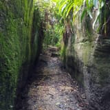 Labyrinth Rocks Park Walk, Nelson-Tasman, New Zealand - 47 Reviews, Map ...