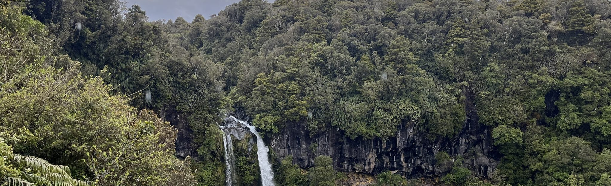 Kapuni Loop Track to Dawson Falls - Taranaki, New Zealand | AllTrails