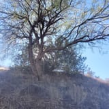 Sears Kay Ruins Trail, Arizona - 440 Reviews, Map | AllTrails