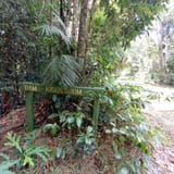 Crystal Cascades to Copperlode Dam, Queensland, Australia - 205 Reviews ...