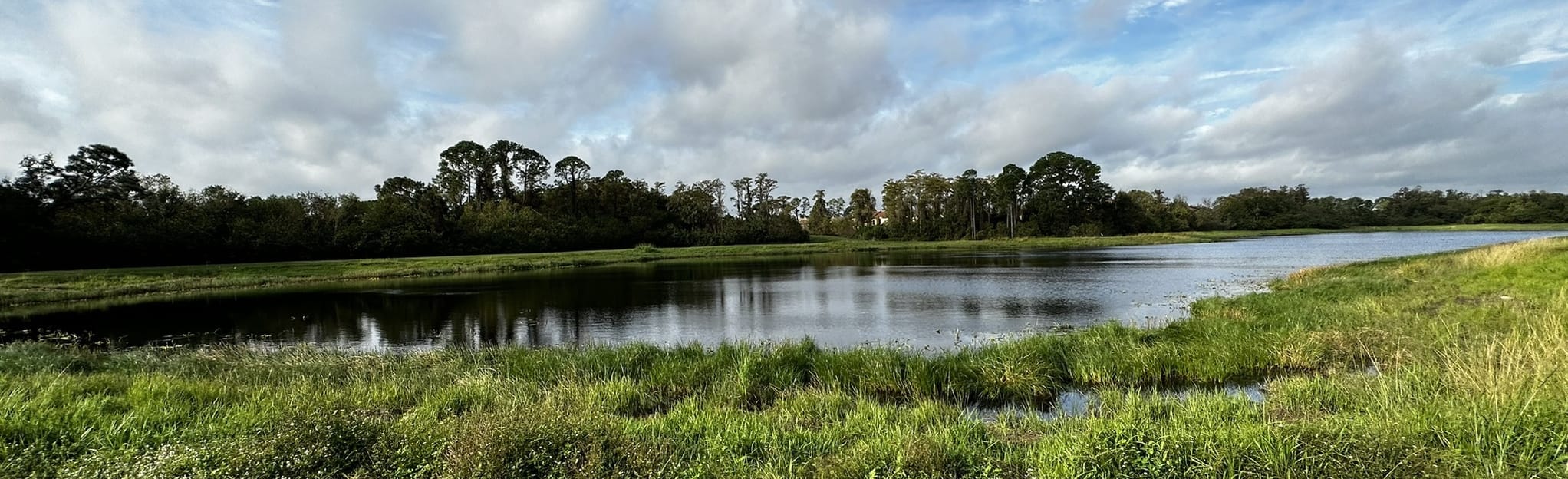 Shingle Creek Trail North, Florida - 26 Reviews, Map | AllTrails
