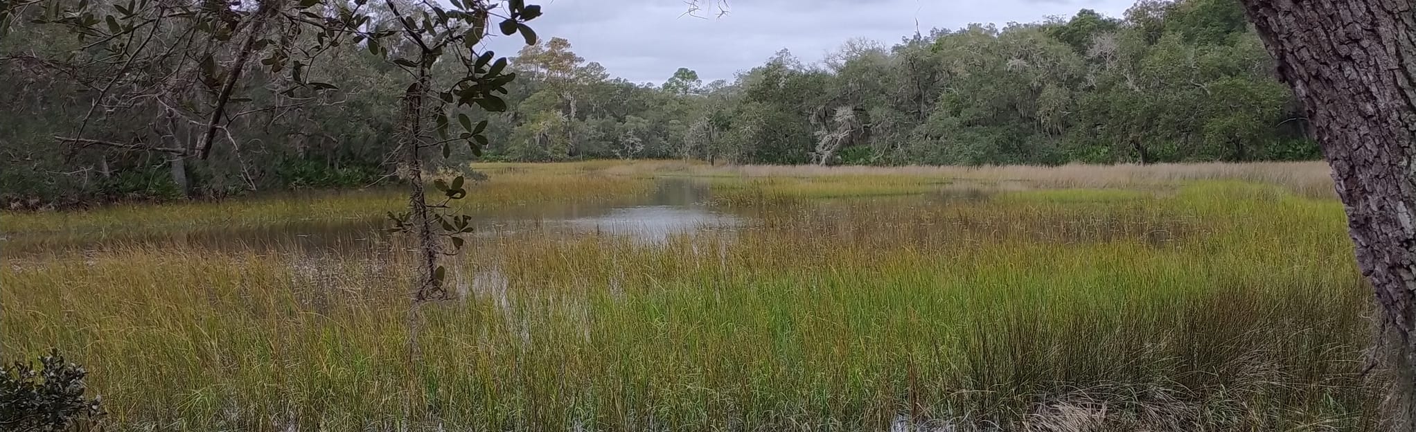 Guana Trail, Marshview Lane, and Shellbluff Road, Florida - 228 Reviews ...