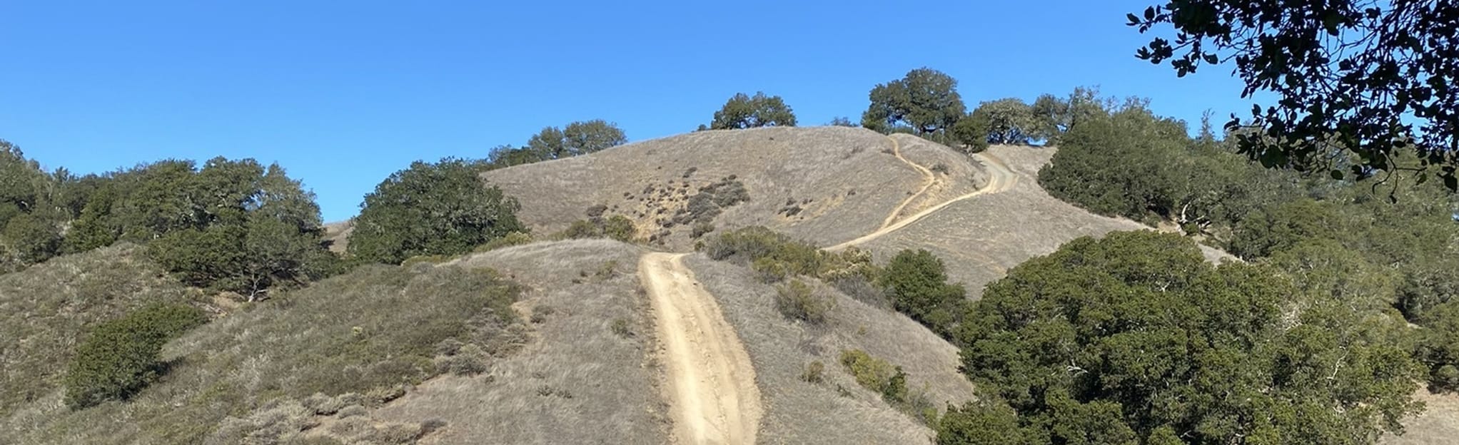Briones Peak via Lafayette Ridge Trail [CLOSED] | Map, Guide ...