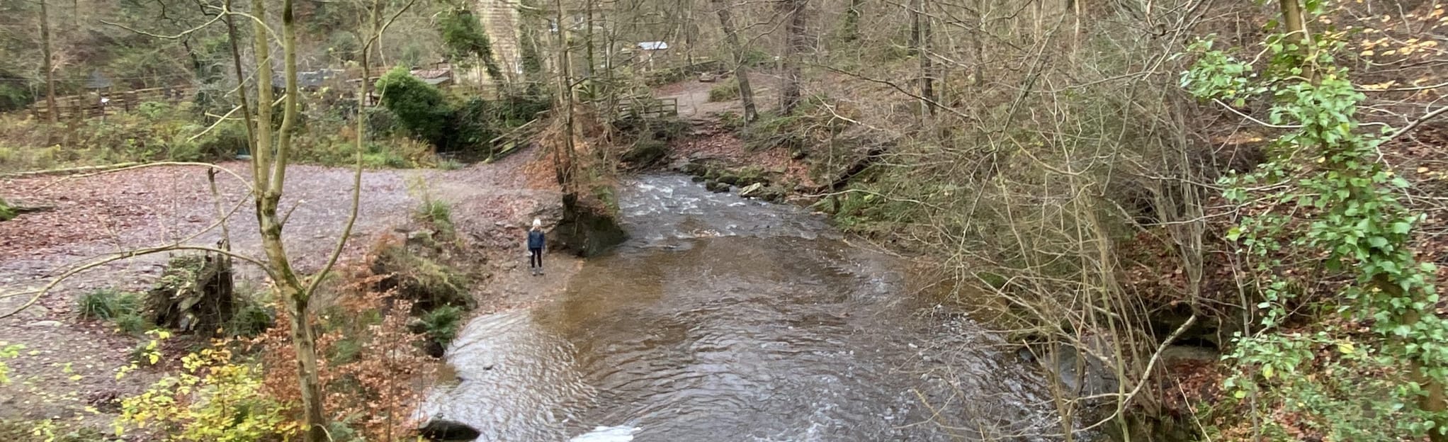 Falling Foss Circular: 12 Reviews, Map - North Yorkshire, England ...