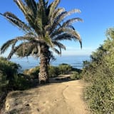 Sunset Cliffs Park Trail, California - 562 Reviews, Map | AllTrails