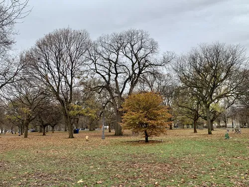 Best Hikes and Trails in Trinity Bellwoods Park | AllTrails