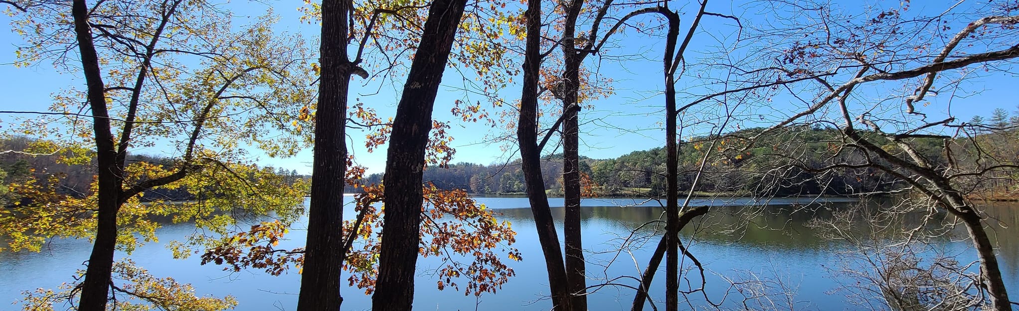 Dam Road, Issaqueena, Rocky and Collarbone Trail, 838 Fotos - South ...