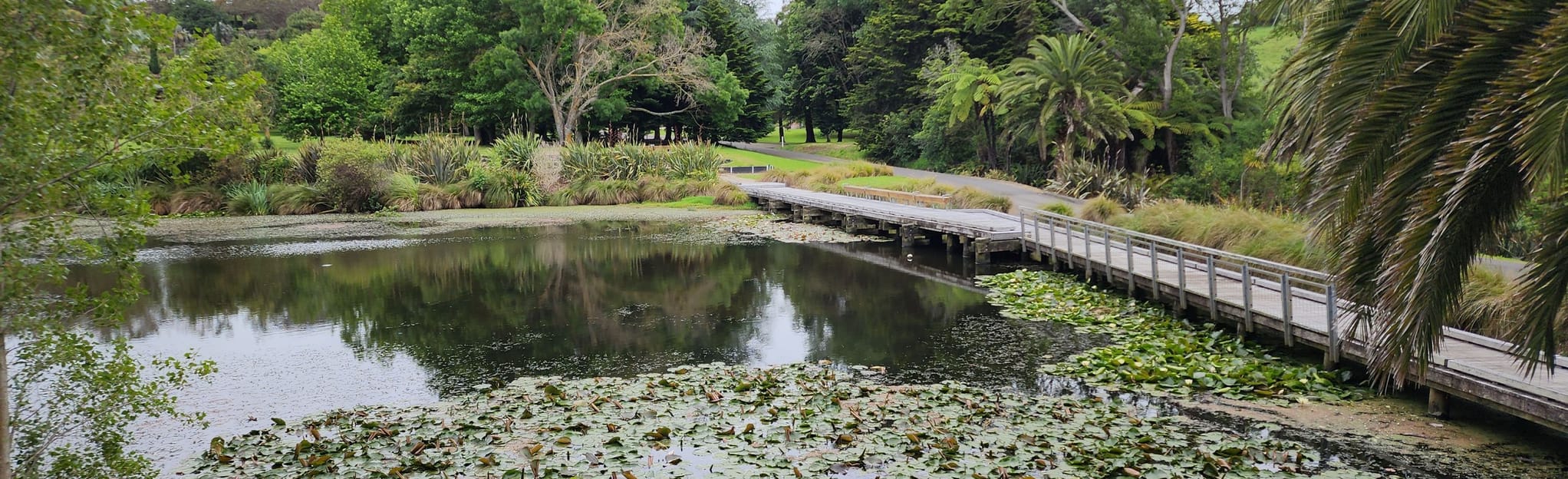 Bason Botanical Gardens Walk, Manawatu-Wanganui, New Zealand - 7 ...