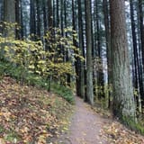 Cooks Butte Loop, Oregon - 399 Reviews, Map | AllTrails