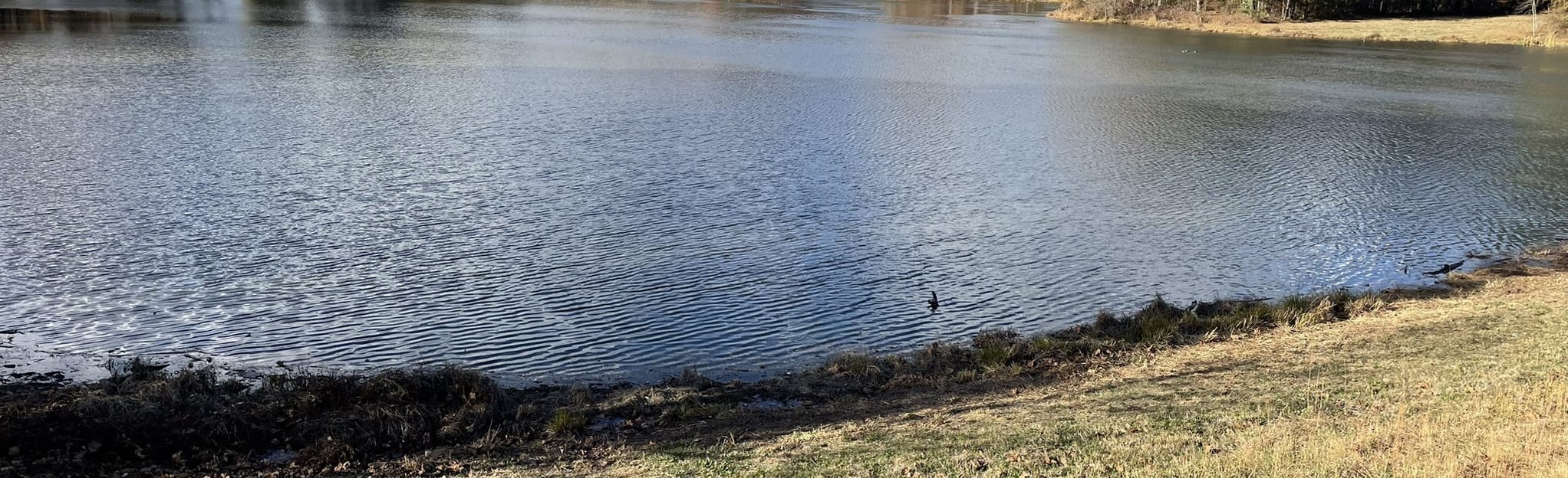 KSU Walking Path: 32 Reviews, Map - Georgia | AllTrails