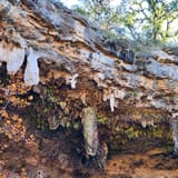 Hamilton Pool Park Trail, Texas - 379 Reviews, Map | AllTrails