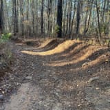 Enoree Trail, South Carolina - 28 Reviews, Map | AllTrails
