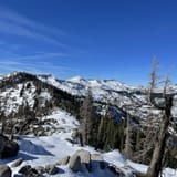 Becker Peak Trail, California - 126 Reviews, Map | AllTrails