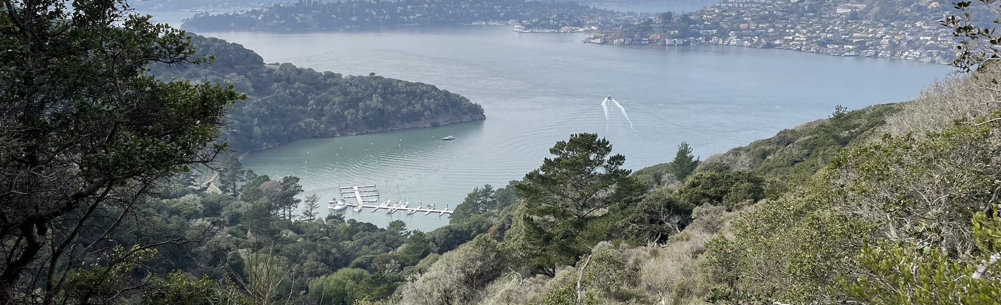 Mount Caroline Livermore via North Ridge Trail | Map, Guide ...