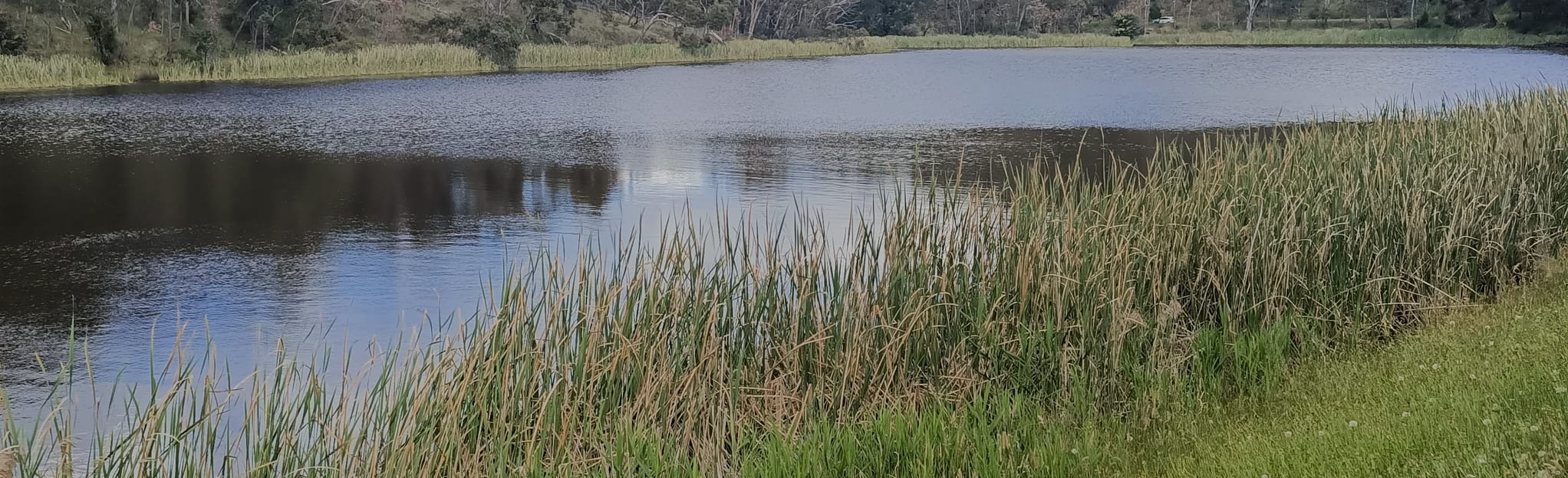 Forest Creek to Expedition Pass Reservoir and Major Mitchell Trail: 51 ...