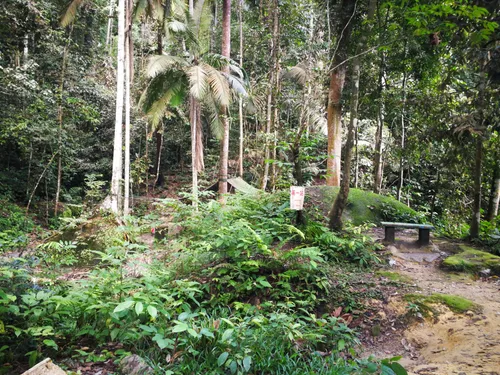10 Best Trails and Hikes in Cheras | AllTrails