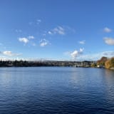 Foster Island Trail, Washington - 555 Reviews, Map | AllTrails