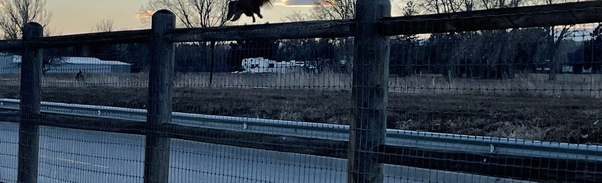 Mason Trail, Colorado - 81 Reviews, Map | AllTrails