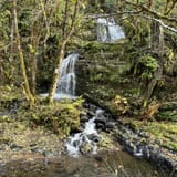 Wilson River Trail, Oregon - 26 Reviews, Map | AllTrails