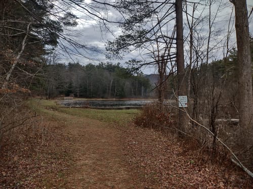 Best Hikes and Trails in Wild Acres Park | AllTrails