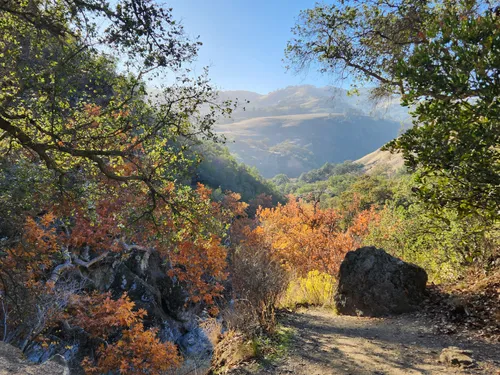 10 Best Trails and Hikes in Sunol | AllTrails