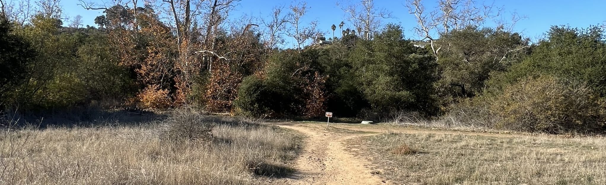 Biltmore Trail: 87 Reviews, Map - California | AllTrails