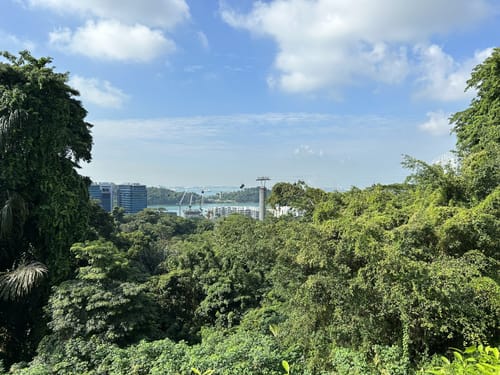 Best Hikes and Trails in Mount Faber Park | AllTrails