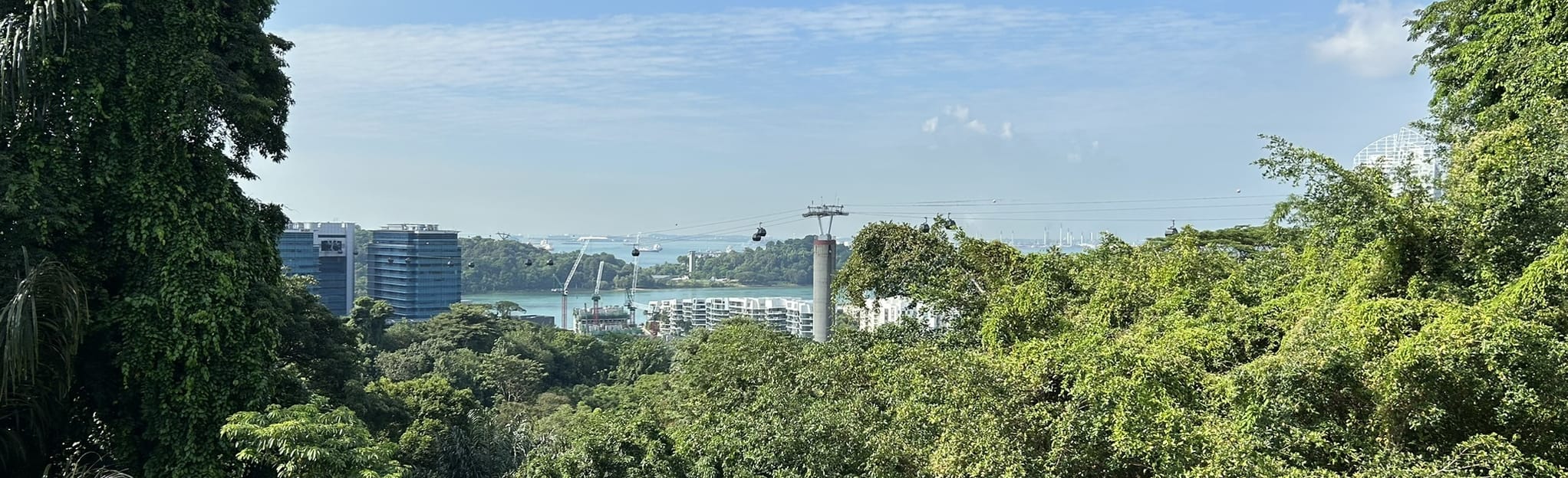 Marang Trail, Central, Singapore - 400 Reviews, Map | AllTrails