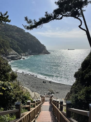 2023 Best 10 Trails and Hikes in Busan | AllTrails