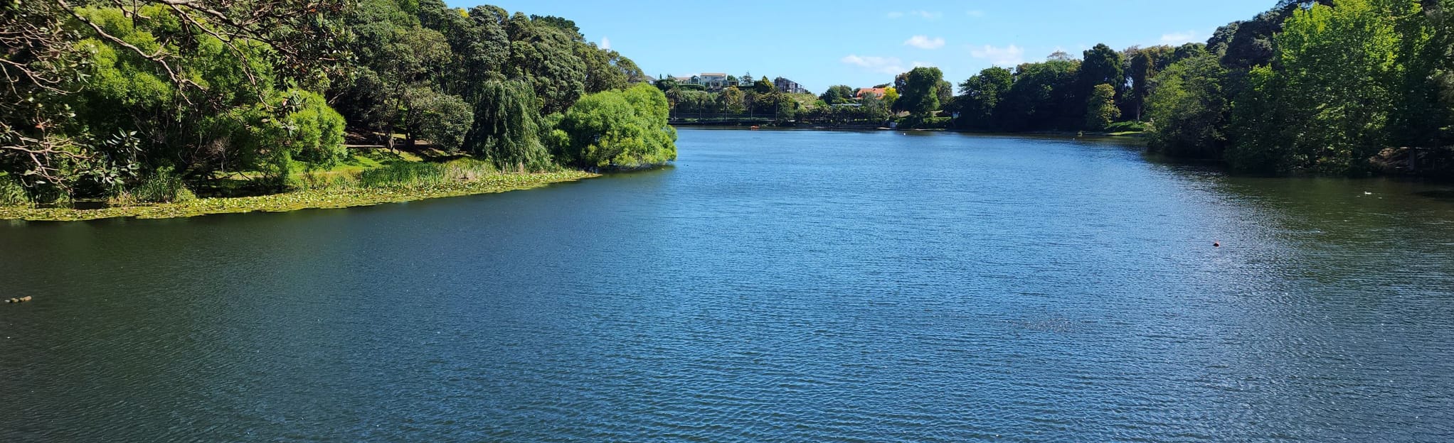 Rotokawau Virginia Lake Walk, Manawatū-Whanganui, New Zealand - 37 ...