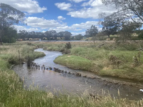 10 Best Hikes and Trails in Beechworth Historic Park | AllTrails