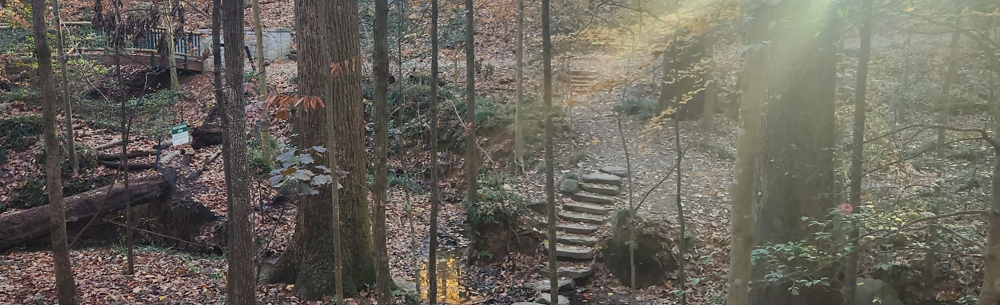 Deepdene Park Paths: 89 Reviews, Map - Georgia | AllTrails