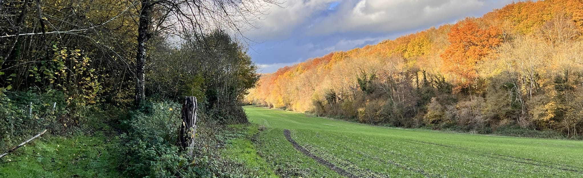 Go from Douet to Douet: 2 Reviews, Map - Calvados, France | AllTrails