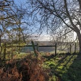 Ham Hill Circular, Somerset, England - 55 Reviews, Map | AllTrails