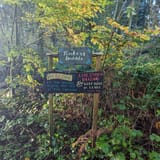 Ham Hill Circular, Somerset, England - 55 Reviews, Map | AllTrails