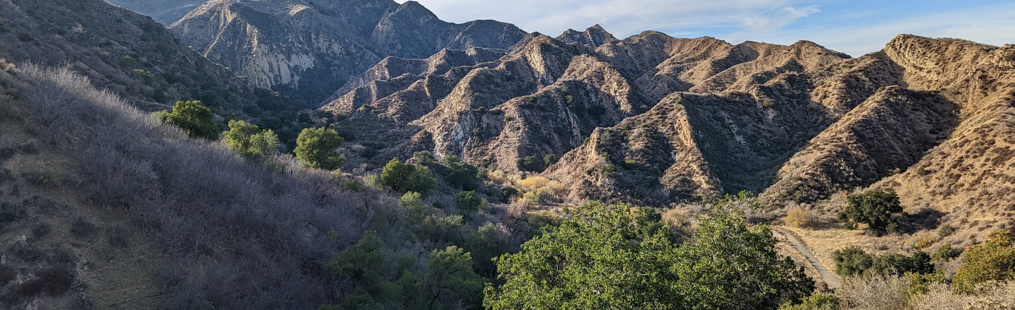 Towsley Canyon Loop Trail, California - 3,755 Reviews, Map | AllTrails