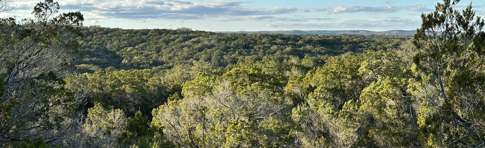 Madrone Trail to Juniper Ridge Trail Loop, Texas - 114 Reviews, Map ...