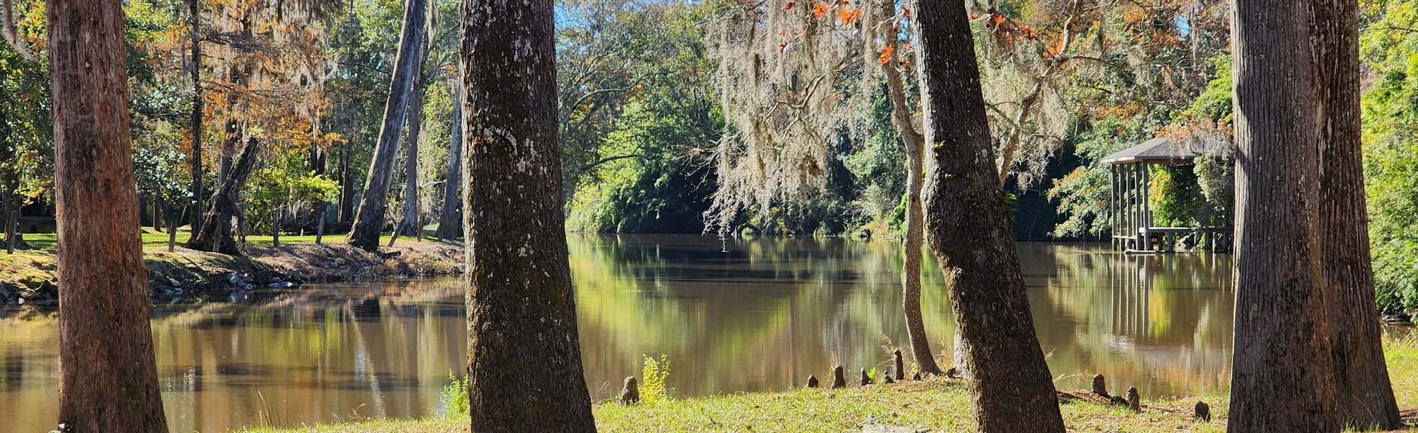 Bogue Falaya Wayside Park, Louisiana - 6 Reviews, Map | AllTrails