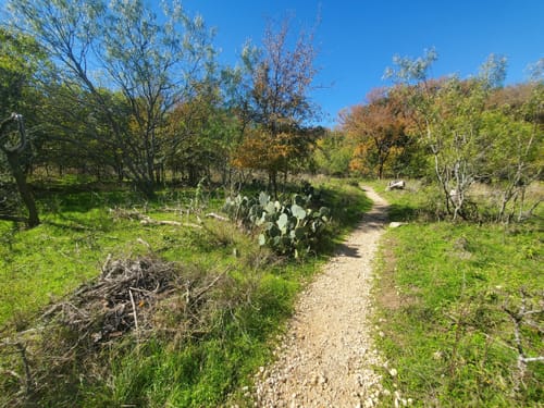 Best Hikes and Trails in Schulle Canyon Natural Area | AllTrails