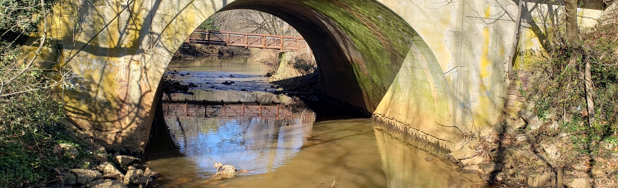 Hopkins Pond and Cooper River Trail Loop: 164 Reviews, Map - New Jersey ...