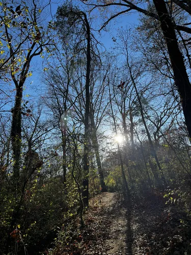 Jarvis Park: Die besten Routen zum Wandern | AllTrails