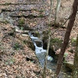 City Lake Falls , Tennessee - 293 Reviews, Map | AllTrails