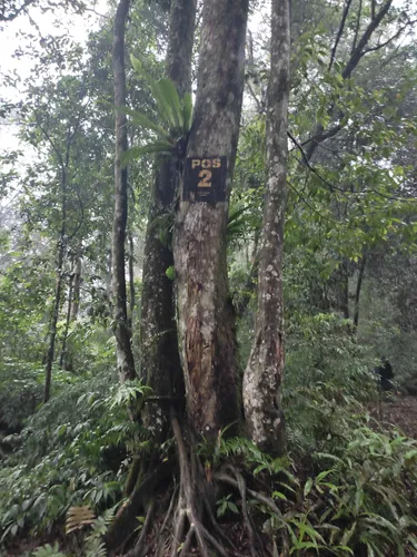 Best Hard Trails in Mount Halimun Salak National Park | AllTrails